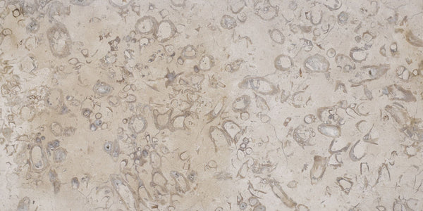 Hazelnut Limestone Tile - Metamar Marble