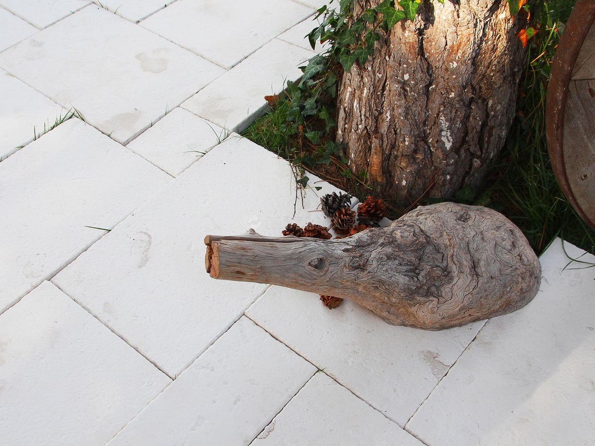 La Perla Limestone Paver - Metamar Marble